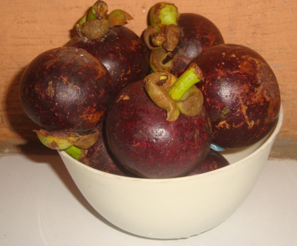 nuansa masel: MANGGIS