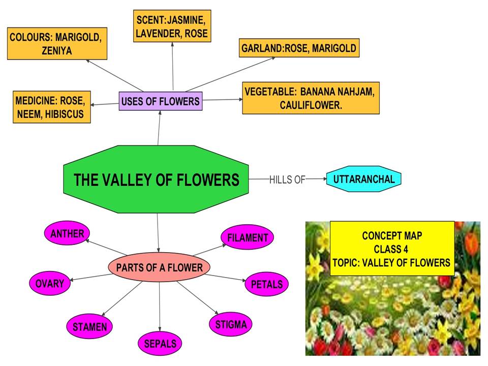 KV DGQA K.RICHARD'S EVS/ENGLISH BLOG: CONCEPT MAP : CLASS IV EVS