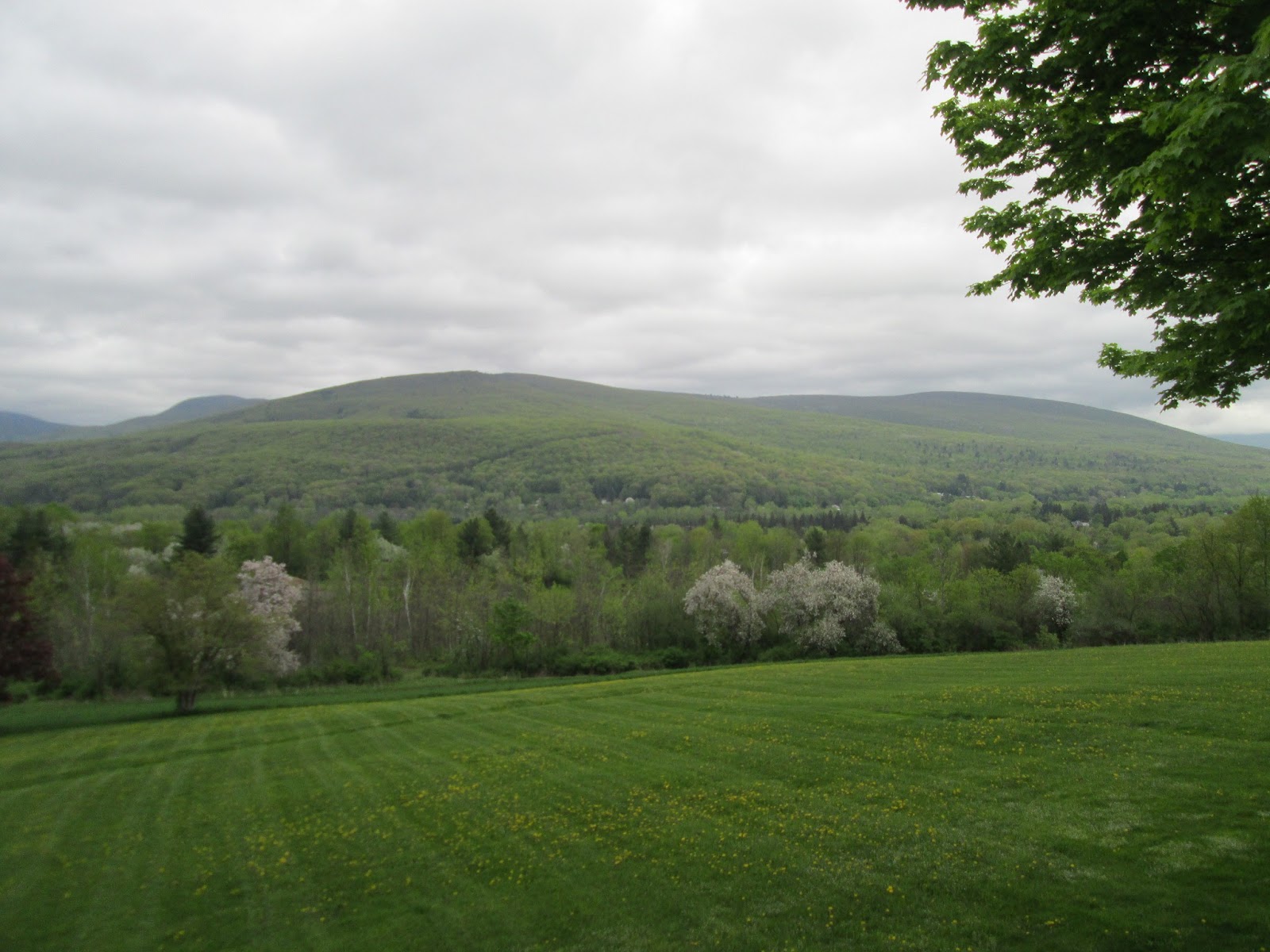 Elder Austin Kimbell Massachusetts Boston Mission