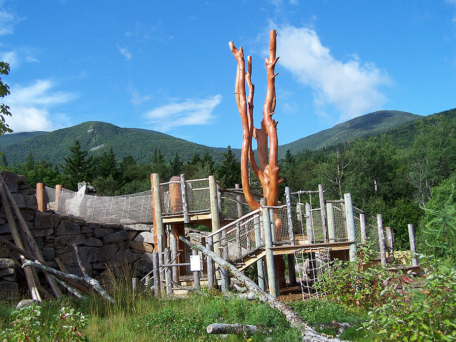 Hiking in the White Mountains: Willey Range with Lee and Dion
