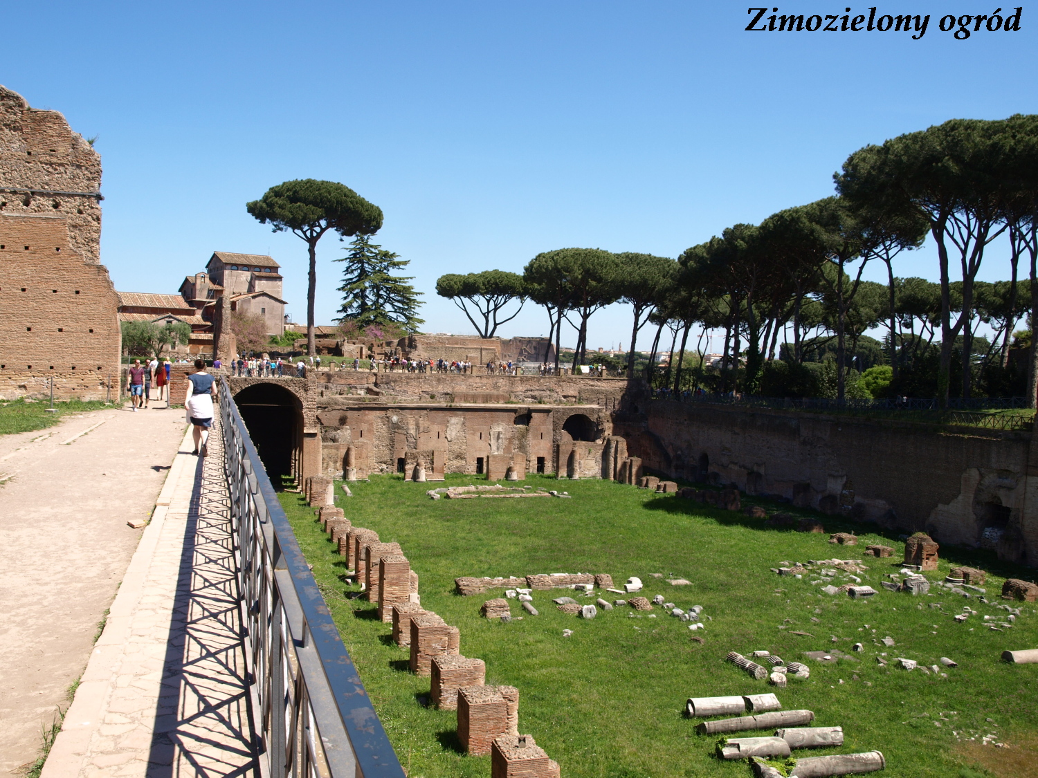 Zimozielony ogród: Rzym - Palatyn