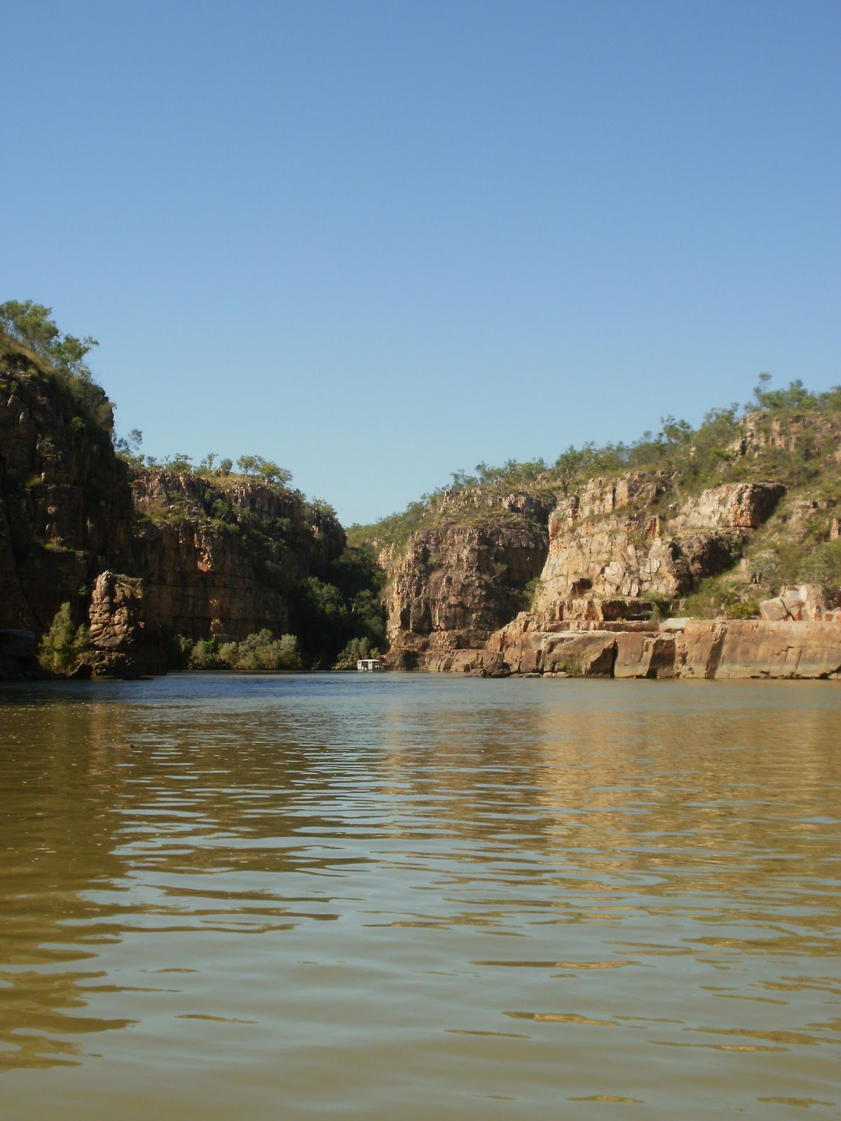 No direction home ... a complete unknown ... like a rolling luggager ...