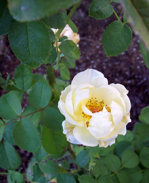 The Art of Michelle: August 2012