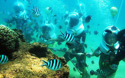 Seawalker Bali - Bali Seawalker, Bali Ocean Walk, Bali Marine Walk