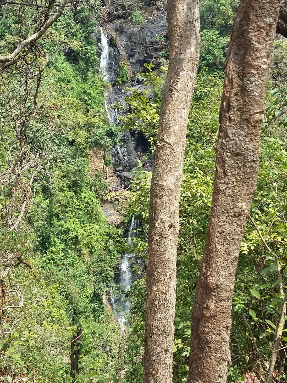 Explore Goa : Travel Goa with BBConRent: Waterfalls in Goa : Savri ...