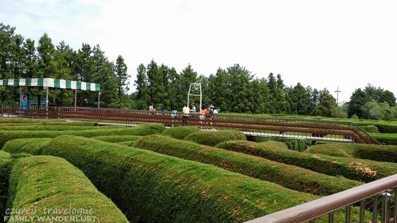 family wanderlust: Jeju Island Road Trip Day 1: Gimnyeong Maze Park