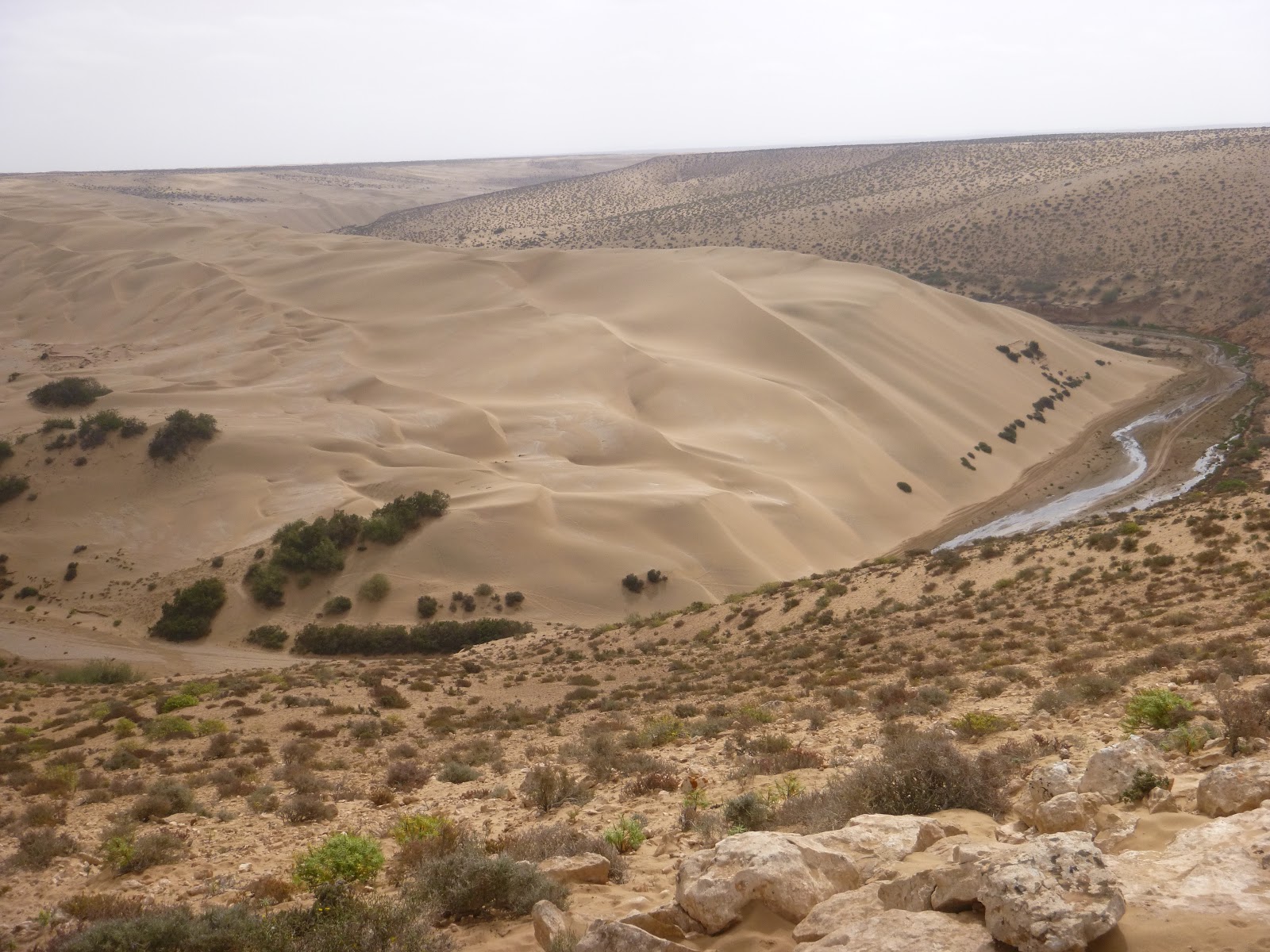 En piste: Dune au sud de GUELMIM