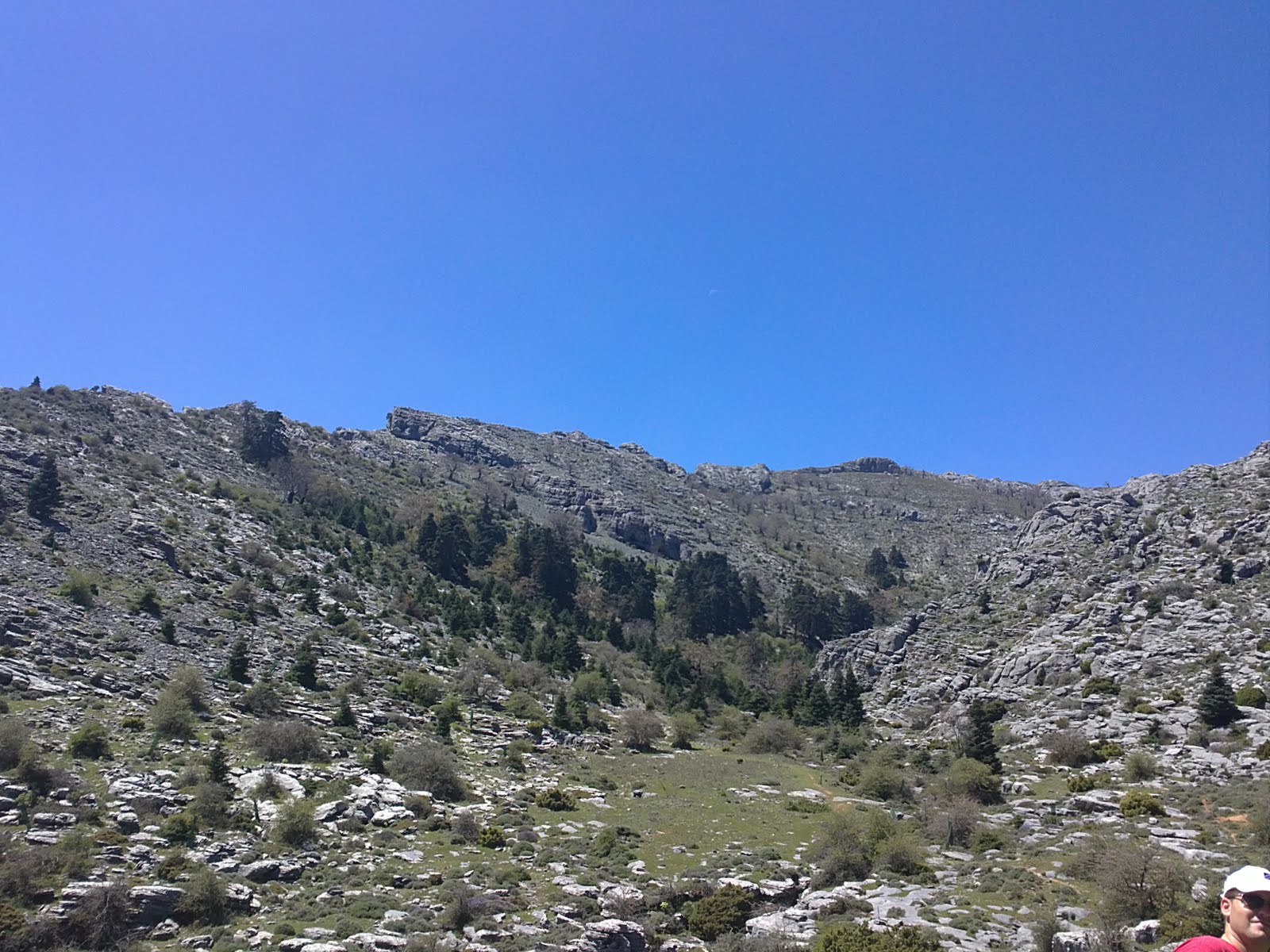 Un Paseo por la Sierra de las Nieves: Desde Yunquera al Pinsapar