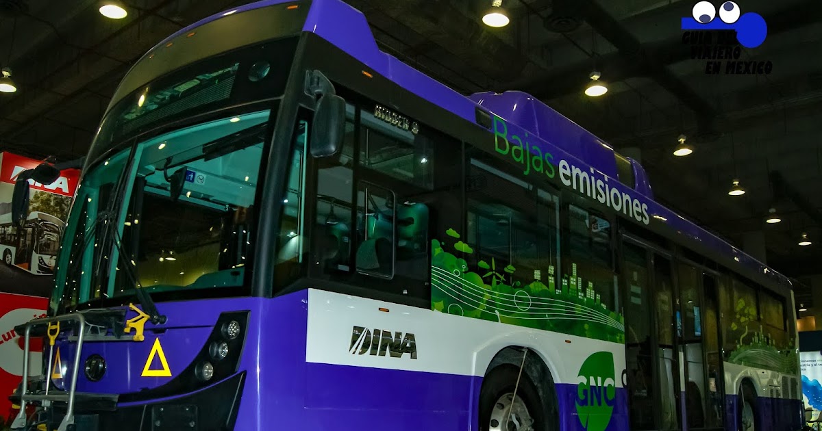 Dina Ridder G una opción para un buen BRT