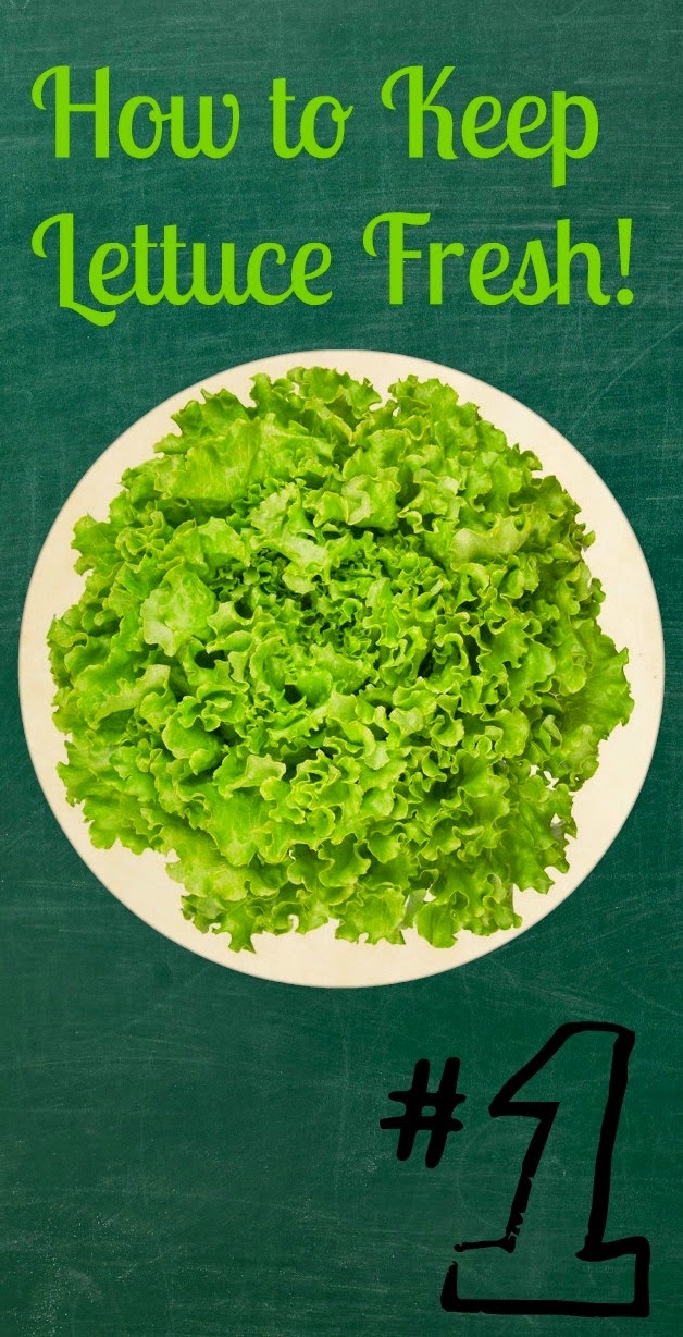 Skin Care And Health Tips: How to Keep Lettuce Fresh!