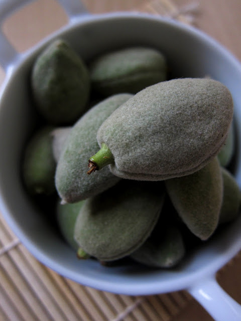 the indolent cook: fresh almonds... & green almond pickles!