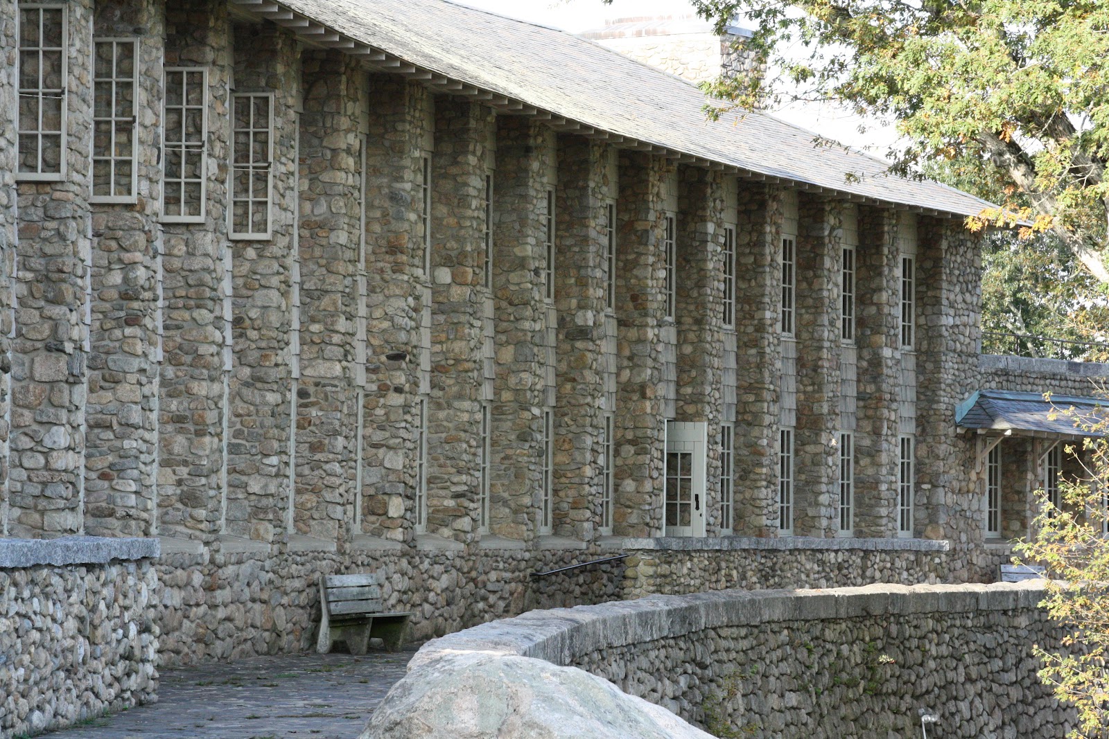 me and you and ellie: The Ellie Mitchell