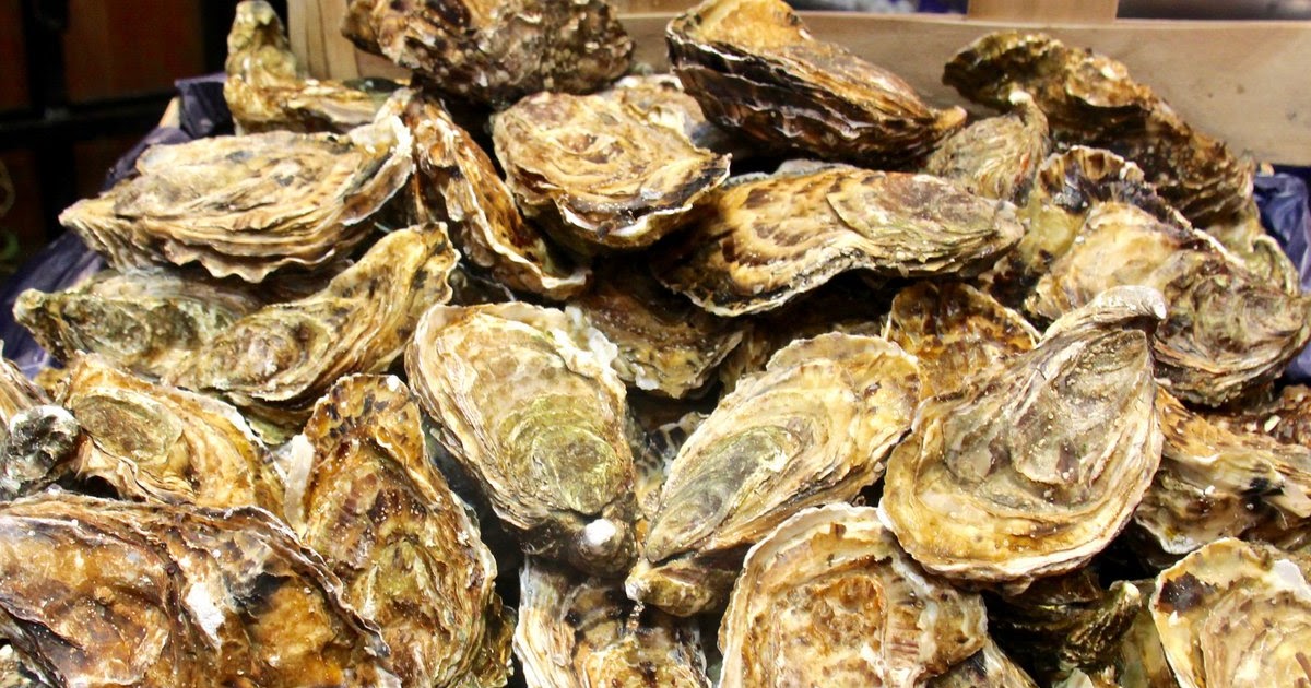 Paris Through My Lens: Les huîtres