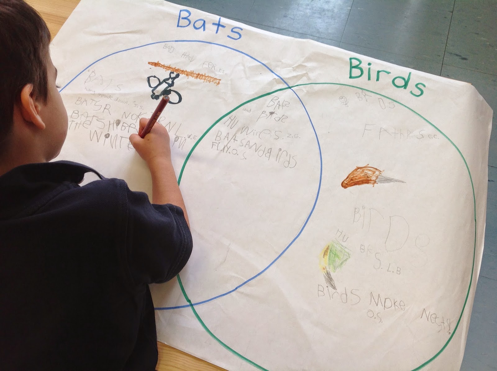 Wonders in Kindergarten: Bats have fur, birds have feathers! Using a ...