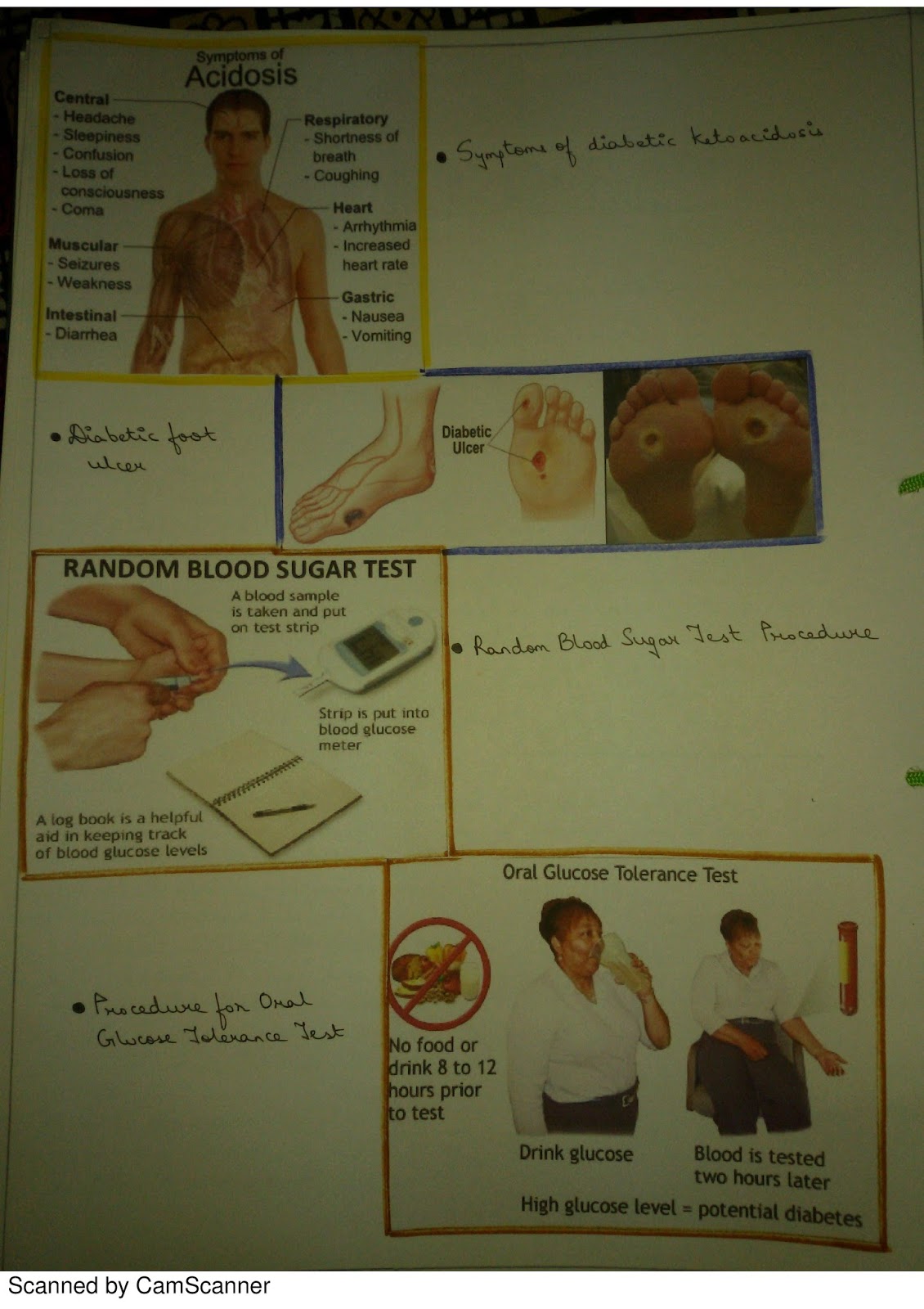 Class 12 SCIENCE Practical Readings and Projects: ISC Biology Project ...