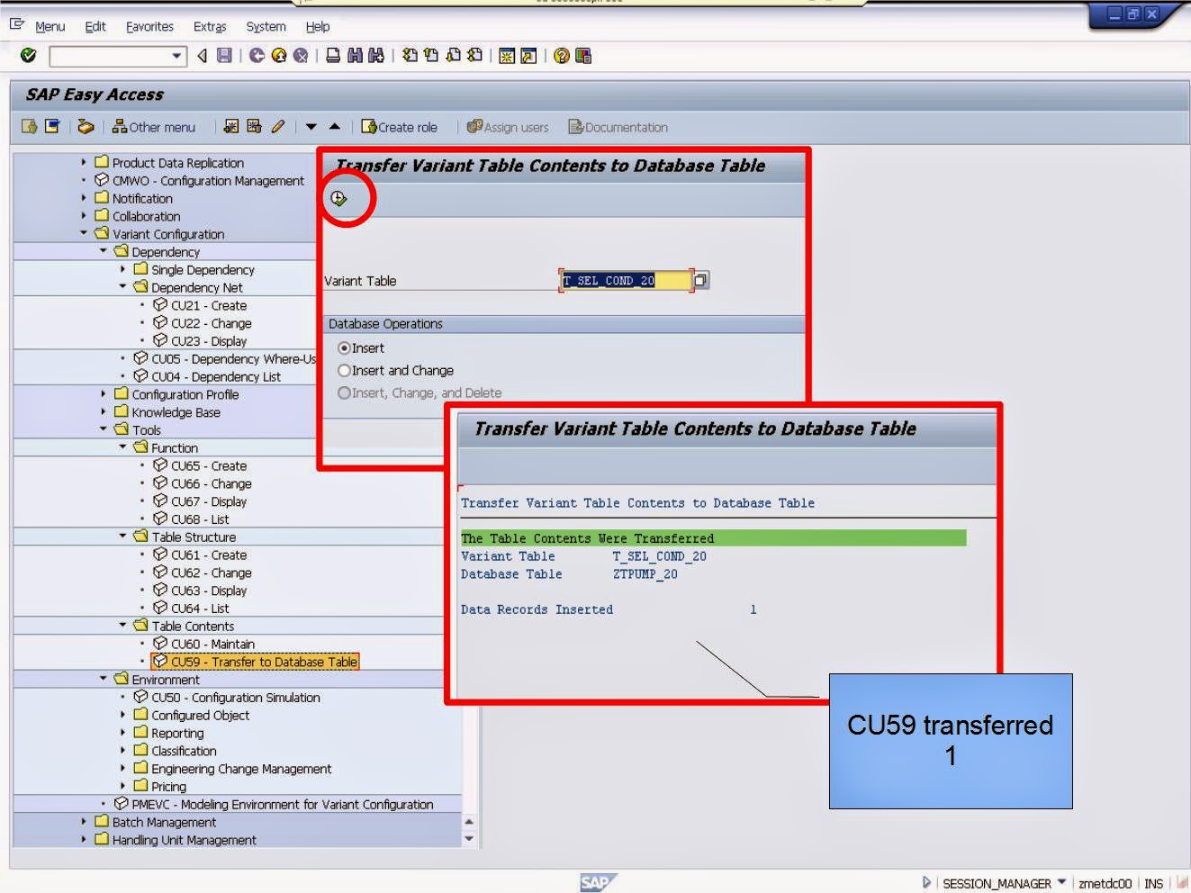 青蛙SAP分享 Froggy's SAP sharing: Variant Configuration - Linking Variant ...