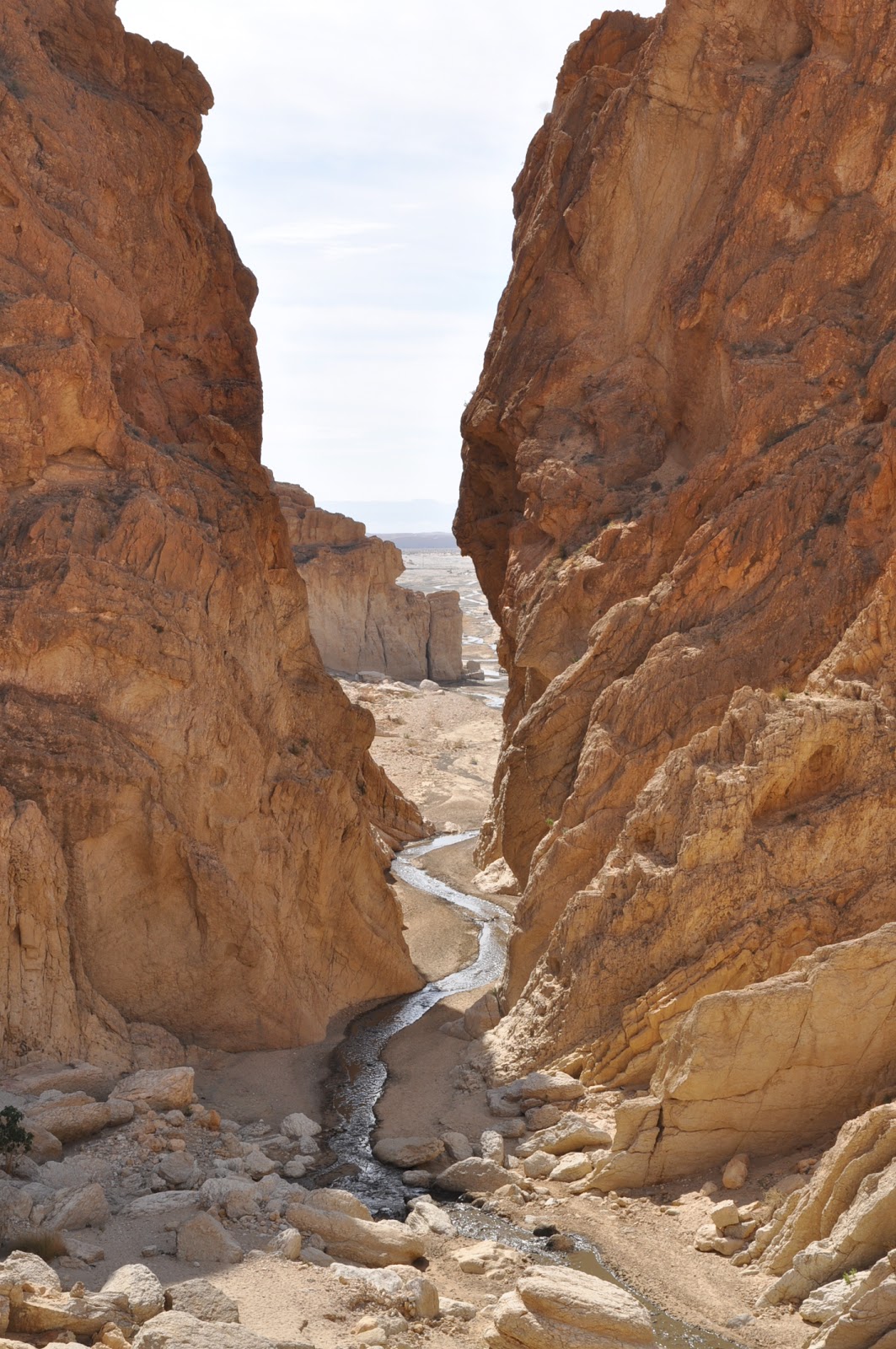 AFRIQUE TUNISIE 3è voyage 2013: Les gorges de Selja