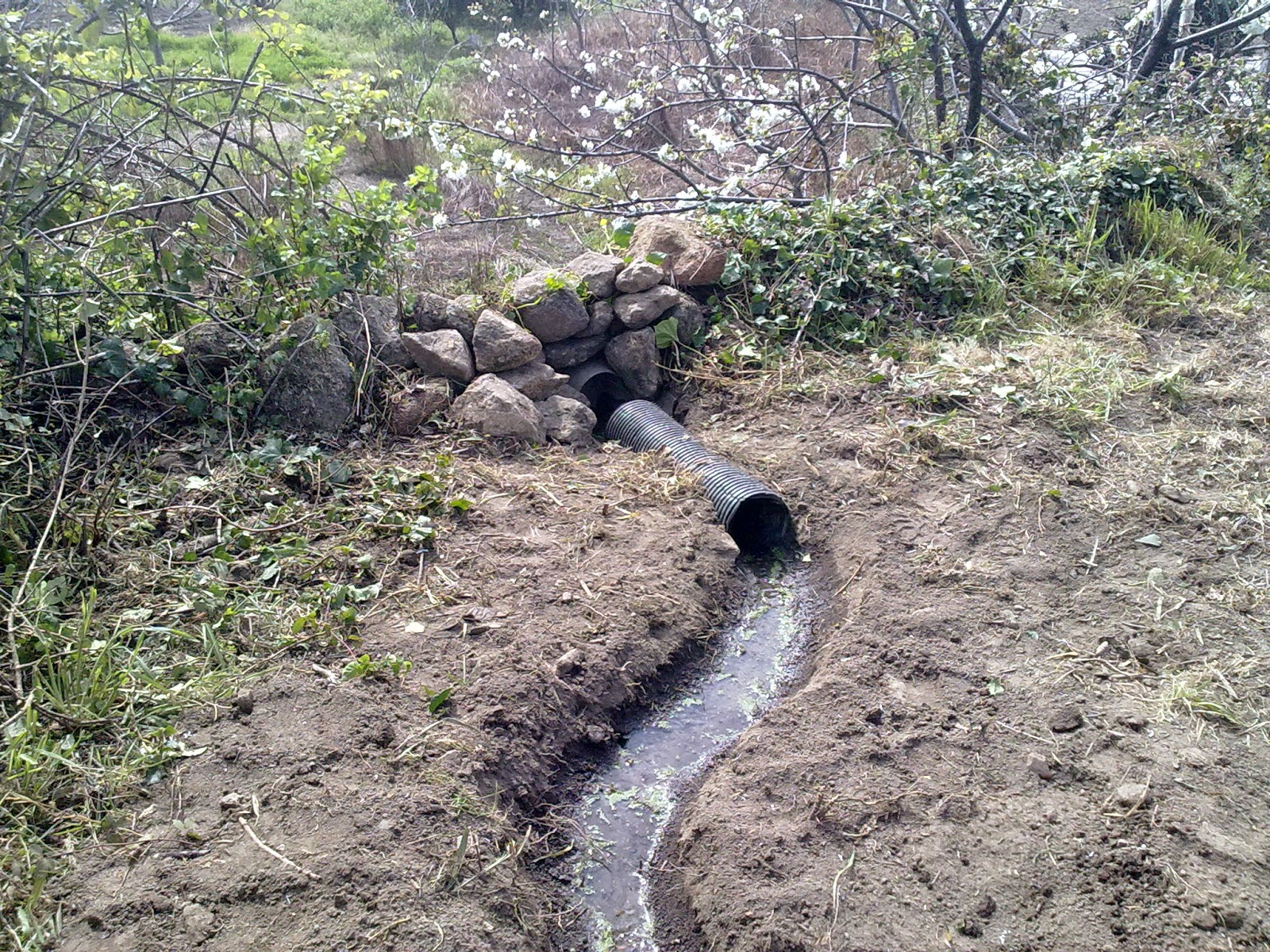 Orgánica, ecológica, biodinámica, tradicional,..... Agricultura ...