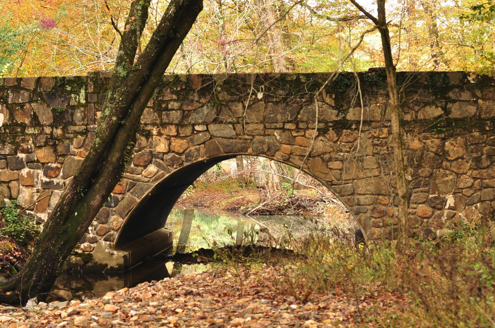 See these Masonry Arch Bridges in nearly every state in the USA - An ...