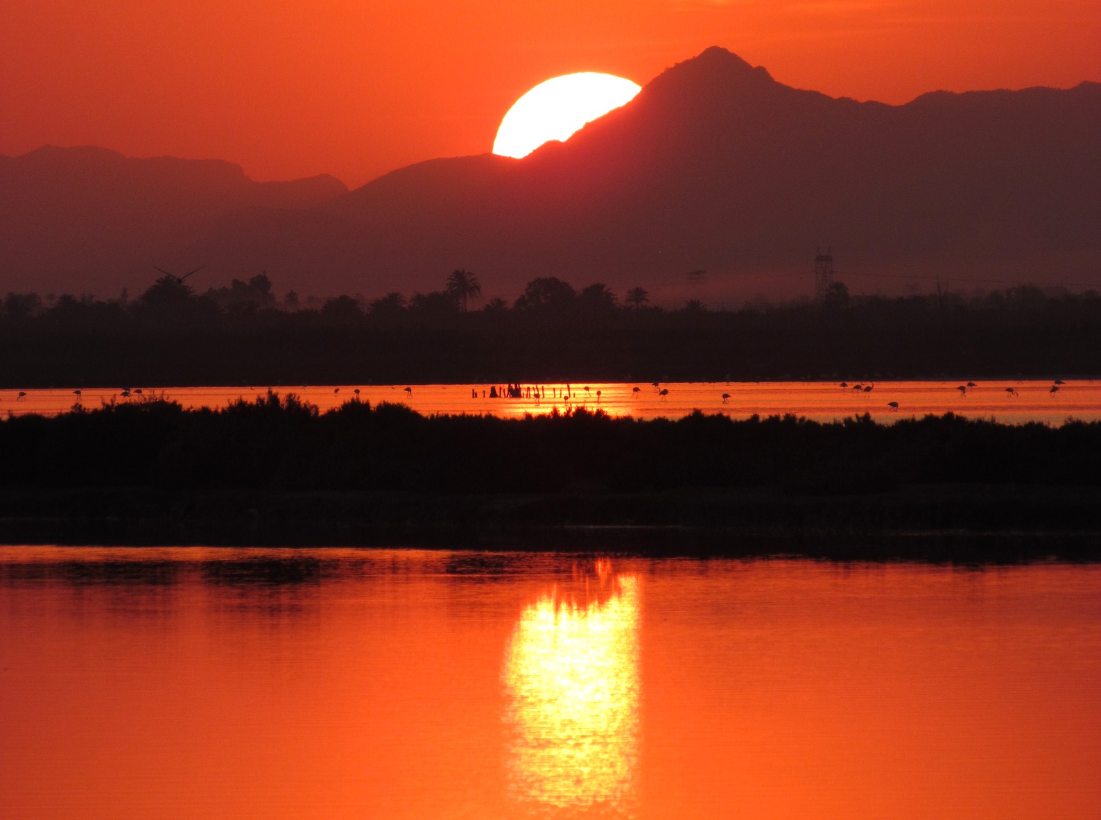 REFLEXIONES: Del Alba al Ocaso: Vivencias