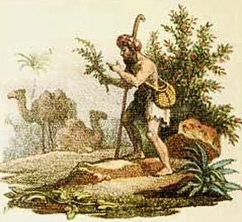 All about Coffee: The origin of Coffee