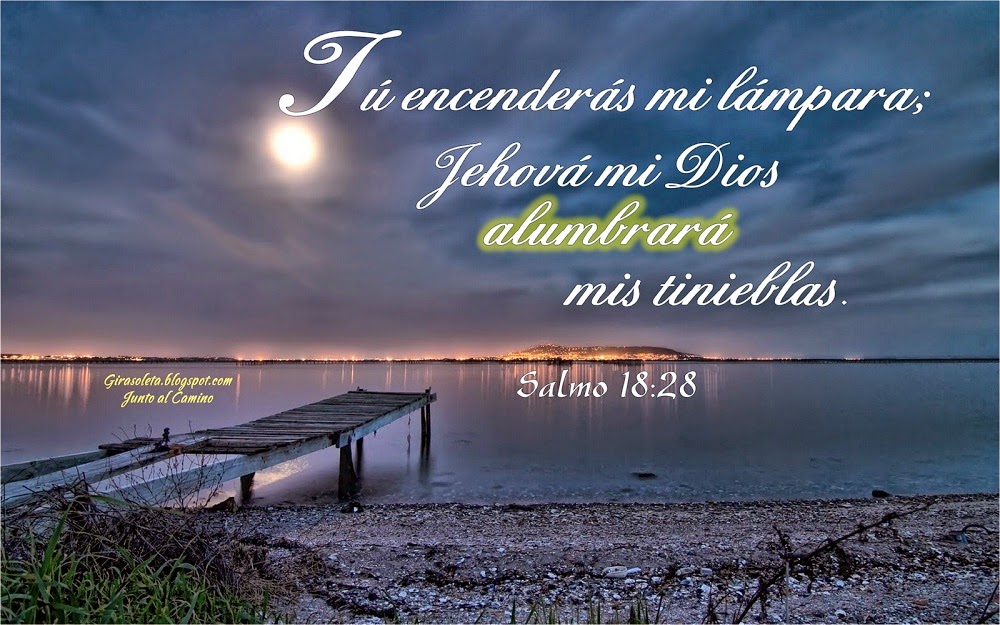 AUDIO: Prédica - "Integridad = favor de Dios"