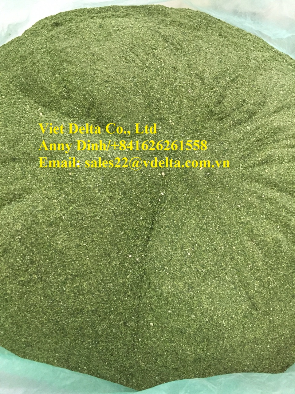 ANIMAL FEED PRODUCTS FROM VIETNAM: ULVA LACTUCA/ DARK GREEN SEAWEED ...