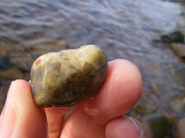 Serendipitous Intentions: Leaverites