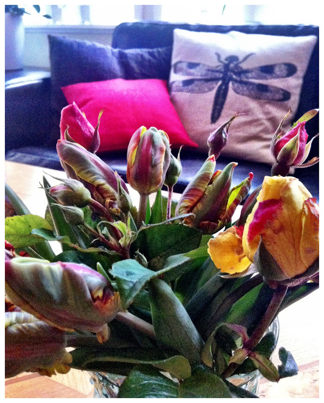 Channal: ♥1000-tack♥