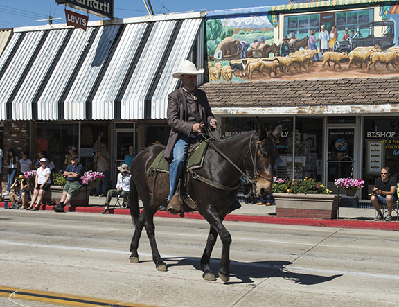 Bob Boze Bell's Big Bad Book of Bad Diary Entries: Jake The Snake & The ...
