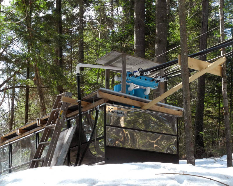 Studio and Garden: Traditional Maple Sugaring