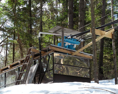 Studio and Garden: Traditional Maple Sugaring