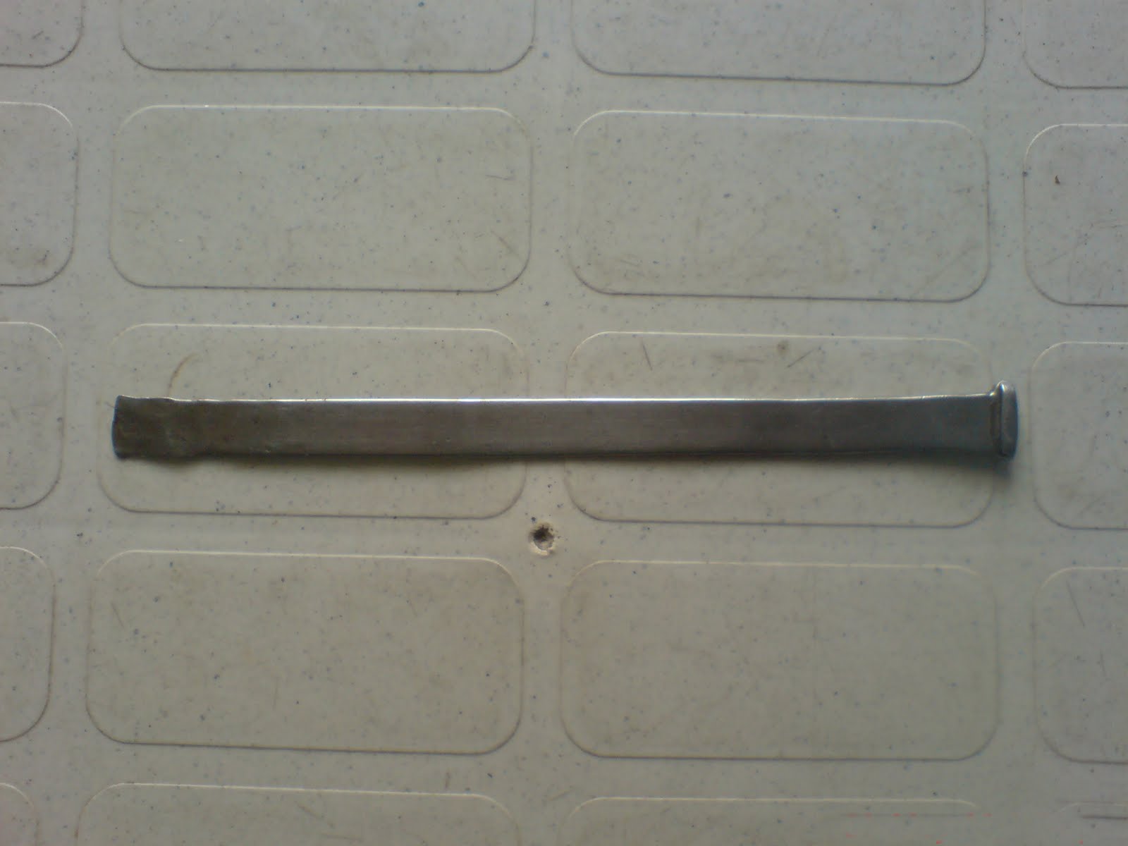 Family Antics: 70 year spachelor