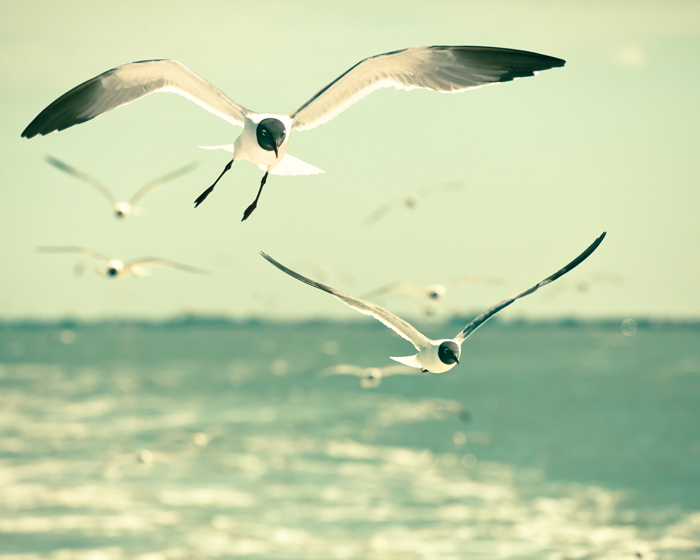 Photography by bomobob