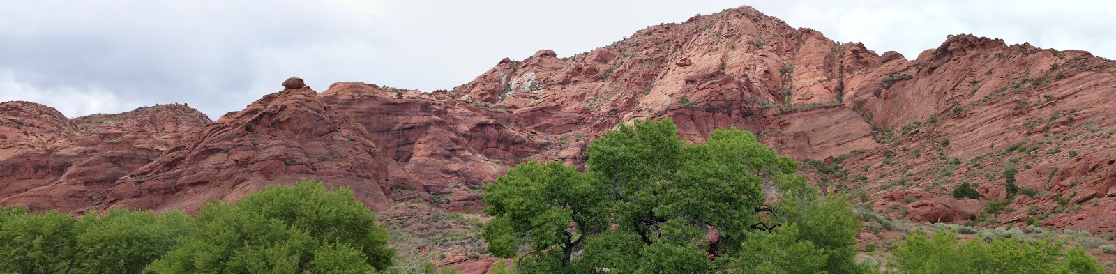 Land Cruising Adventure: Red Cliffs Natural Conservation Area, Utah