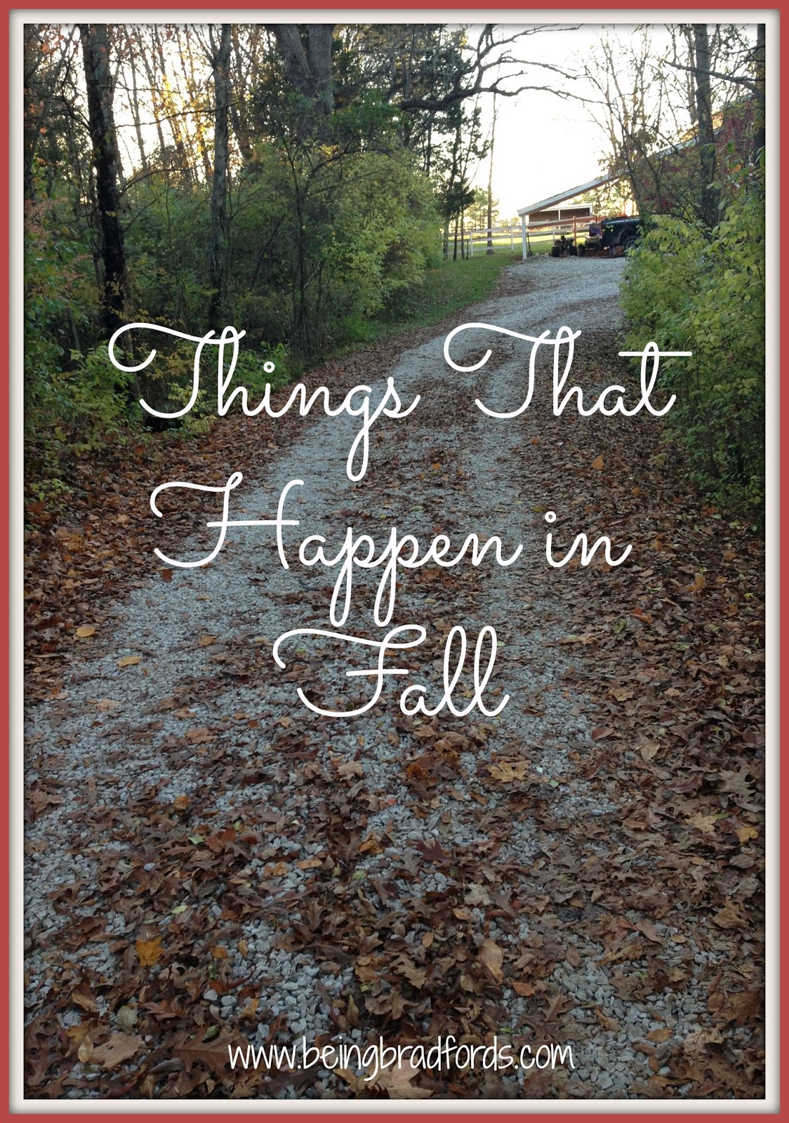Being Bradfords: Things that Happen in Fall