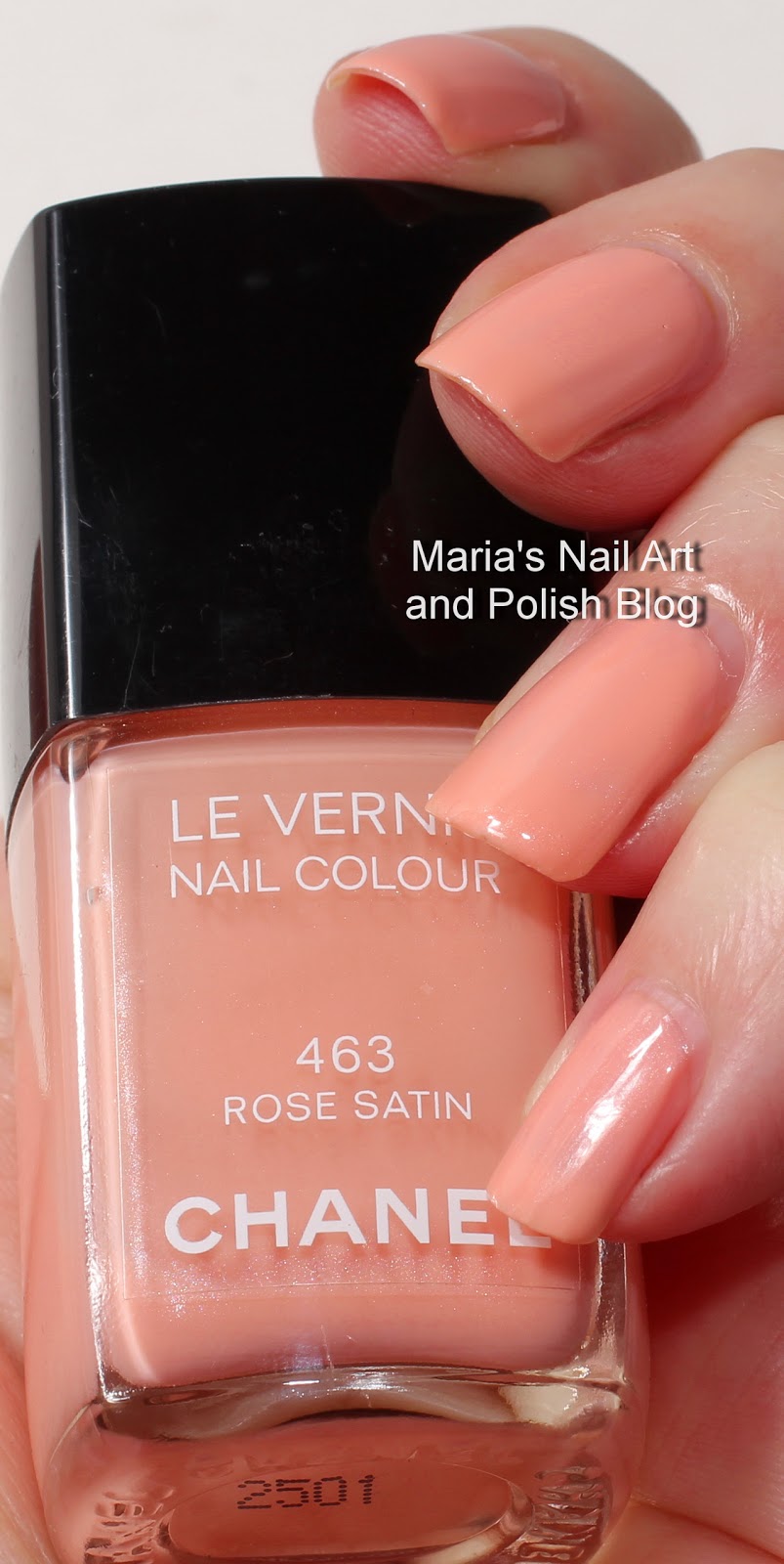 Marias Nail Art and Polish Blog: Chanel Rose Satin 463, Aurora Blues ...
