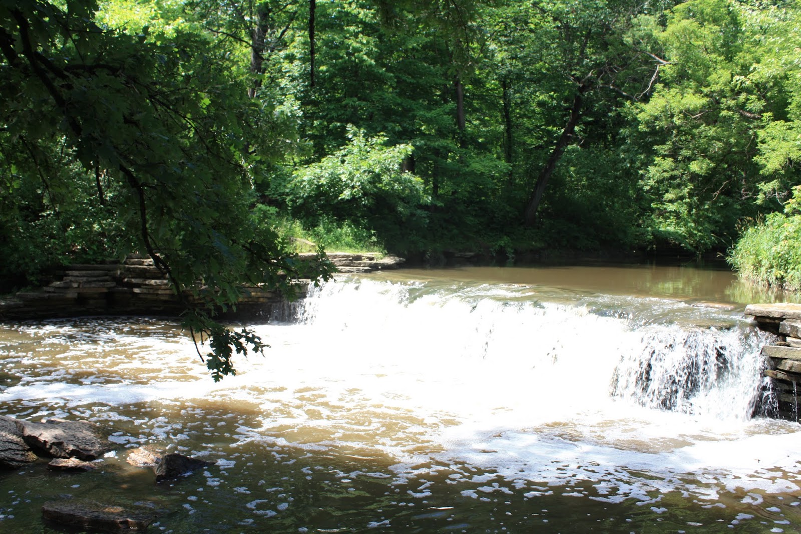 A Little Time and a Keyboard: 7 Top Hiking Spots Near Chicago Revealed