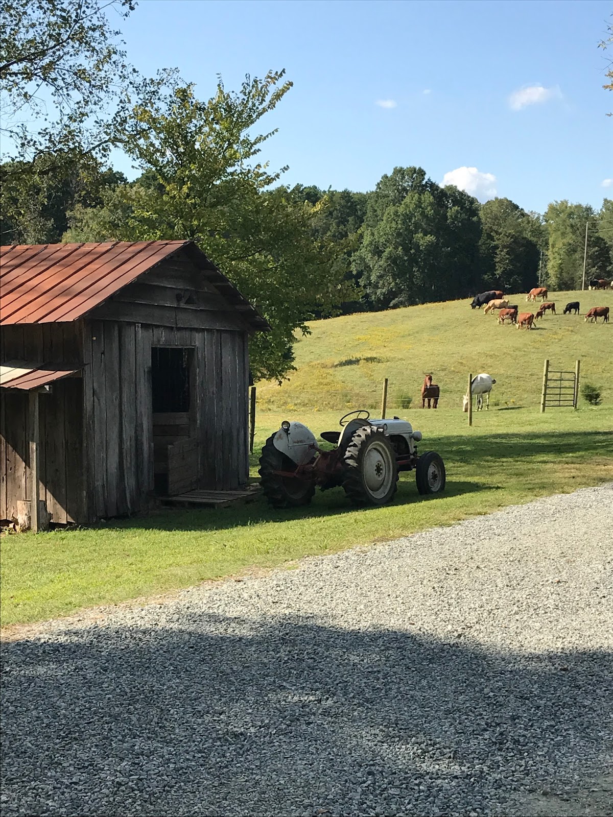 The Great Jen-Nis Weekend Winery Escapades: Old Homeplace Vineyard ...