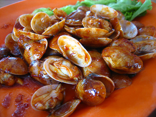 Animals World: clam food