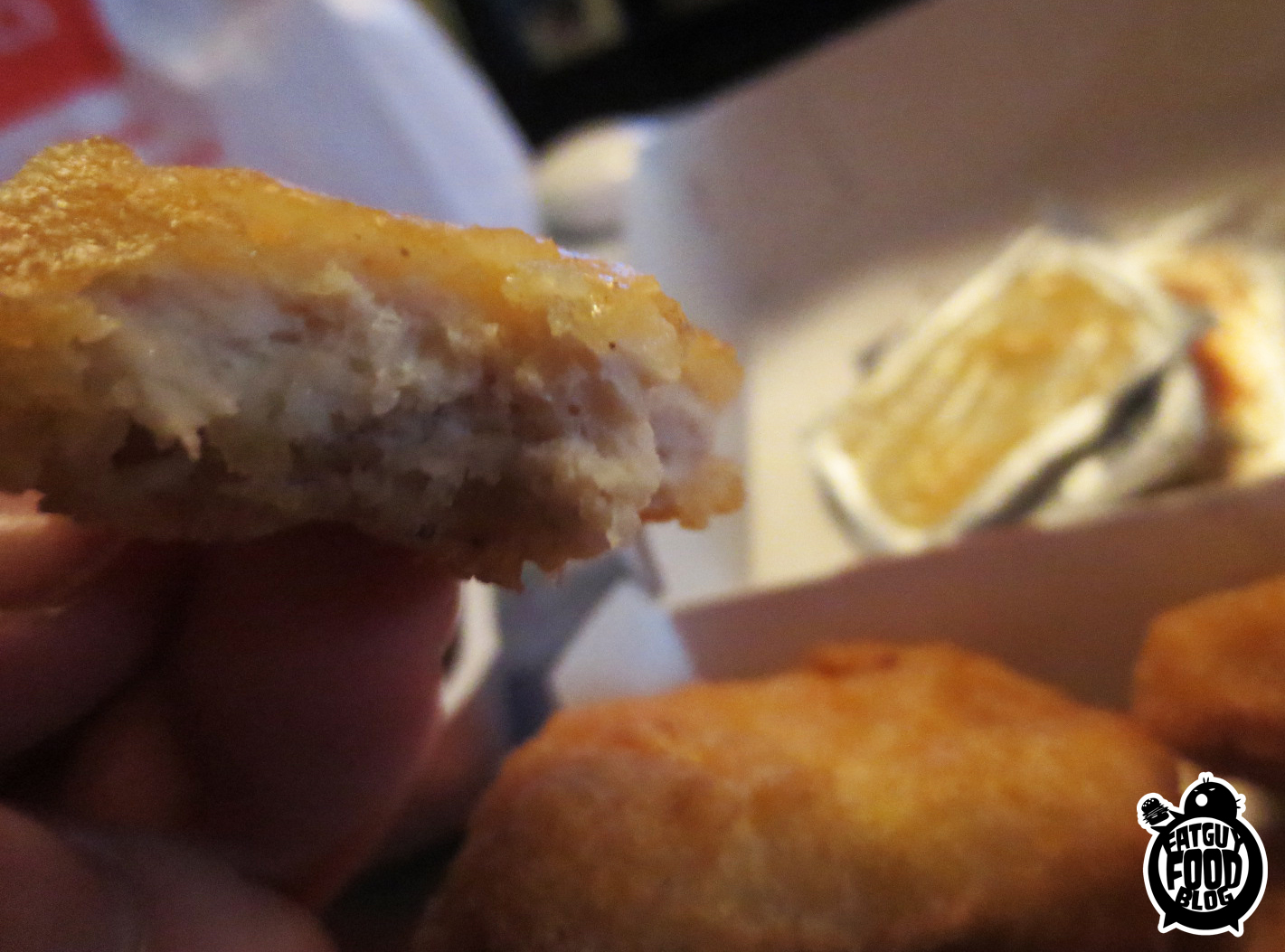 FATGUYFOODBLOG: Burger King's New Chicken Nuggets, Cheesy Tots, and ...