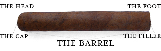 Smoking North Of Cuba Cigars with Rashaad Patrick: The Parts of a Cigar