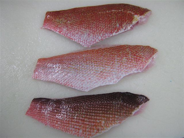 Frozen Red Snapper Fillets - Fresh Red Snapper, Buy Red Snapper, Red ...