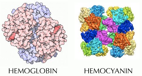 DanielMaidman: The Aesthetics of Information