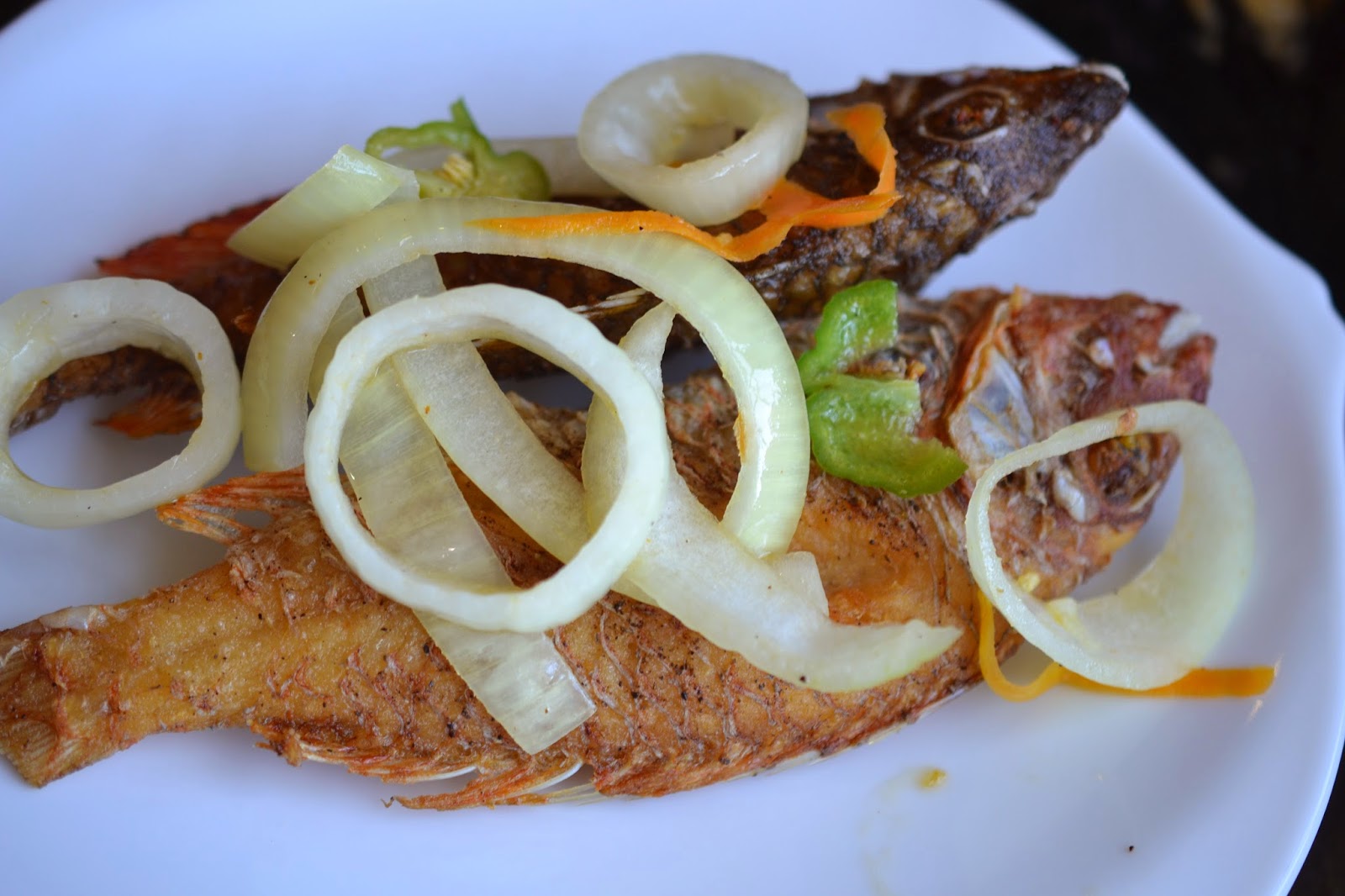 Jamaican Sprat Fish