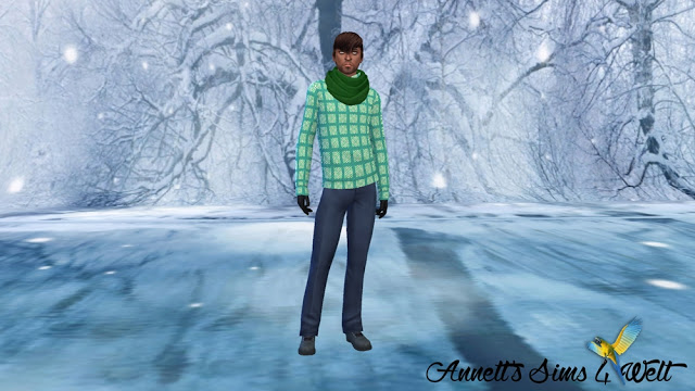 CAS Backgrounds Winter ~ Nathys Sims