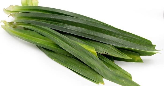 Info Populer Daun Pandan Potongan