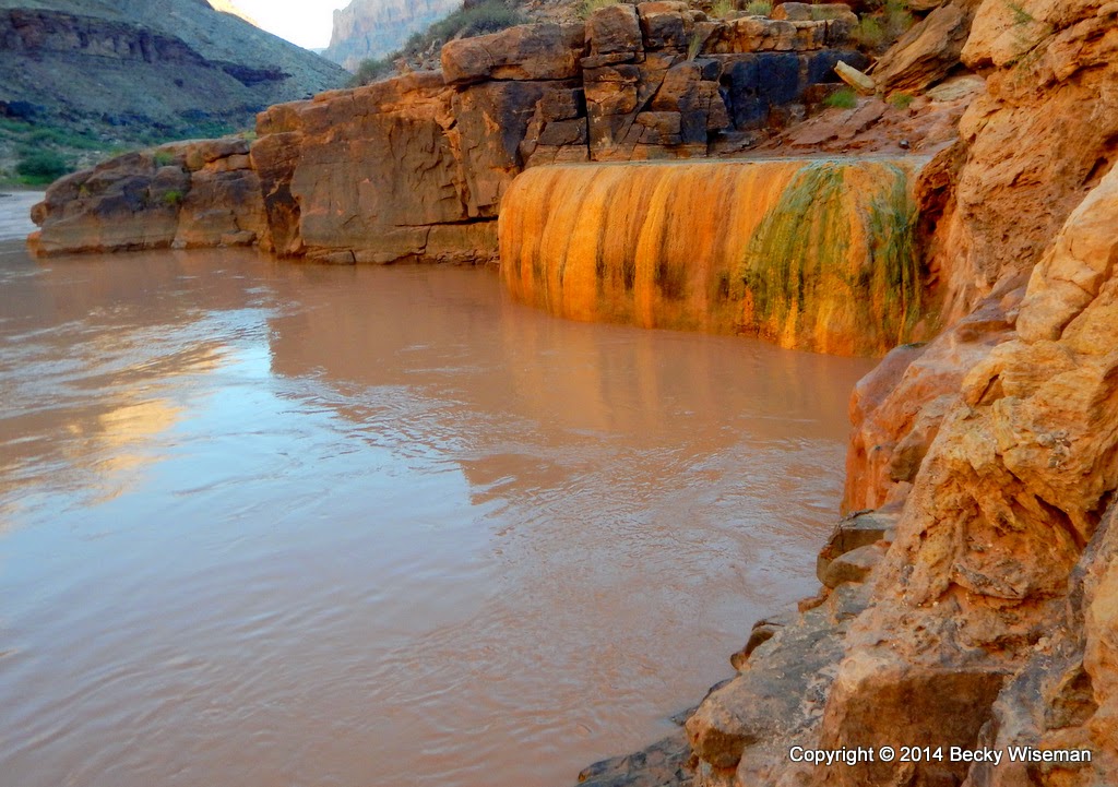 kinexxions: Day 14 - Pumpkin Springs to Mile 241