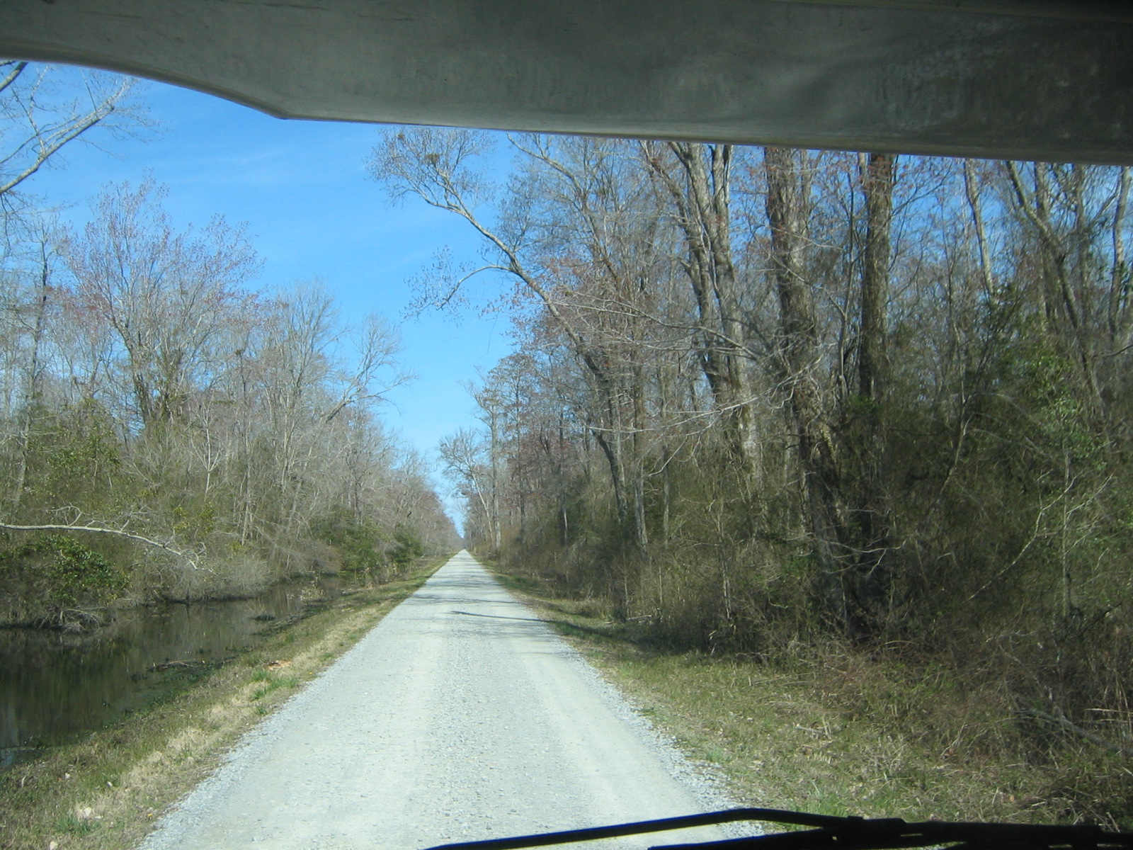 A State at a Time: Virginia - Day 14 - Great Dismal Swamp