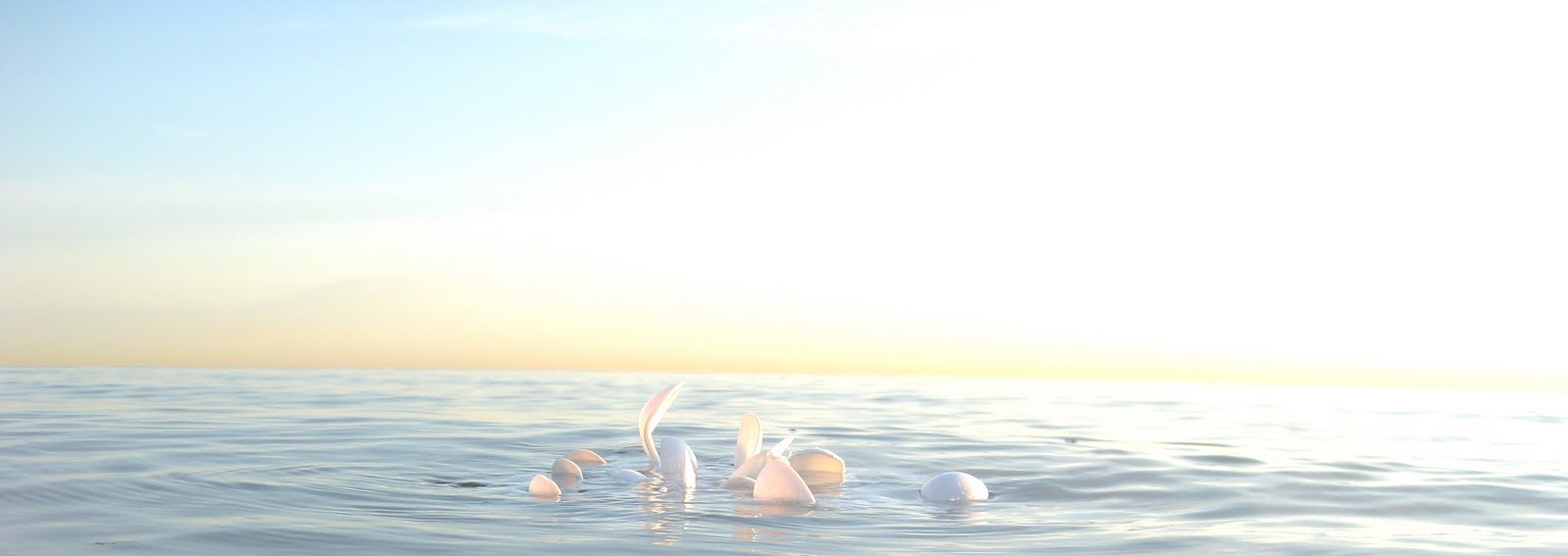 Soft Logic: Ali Hardiman